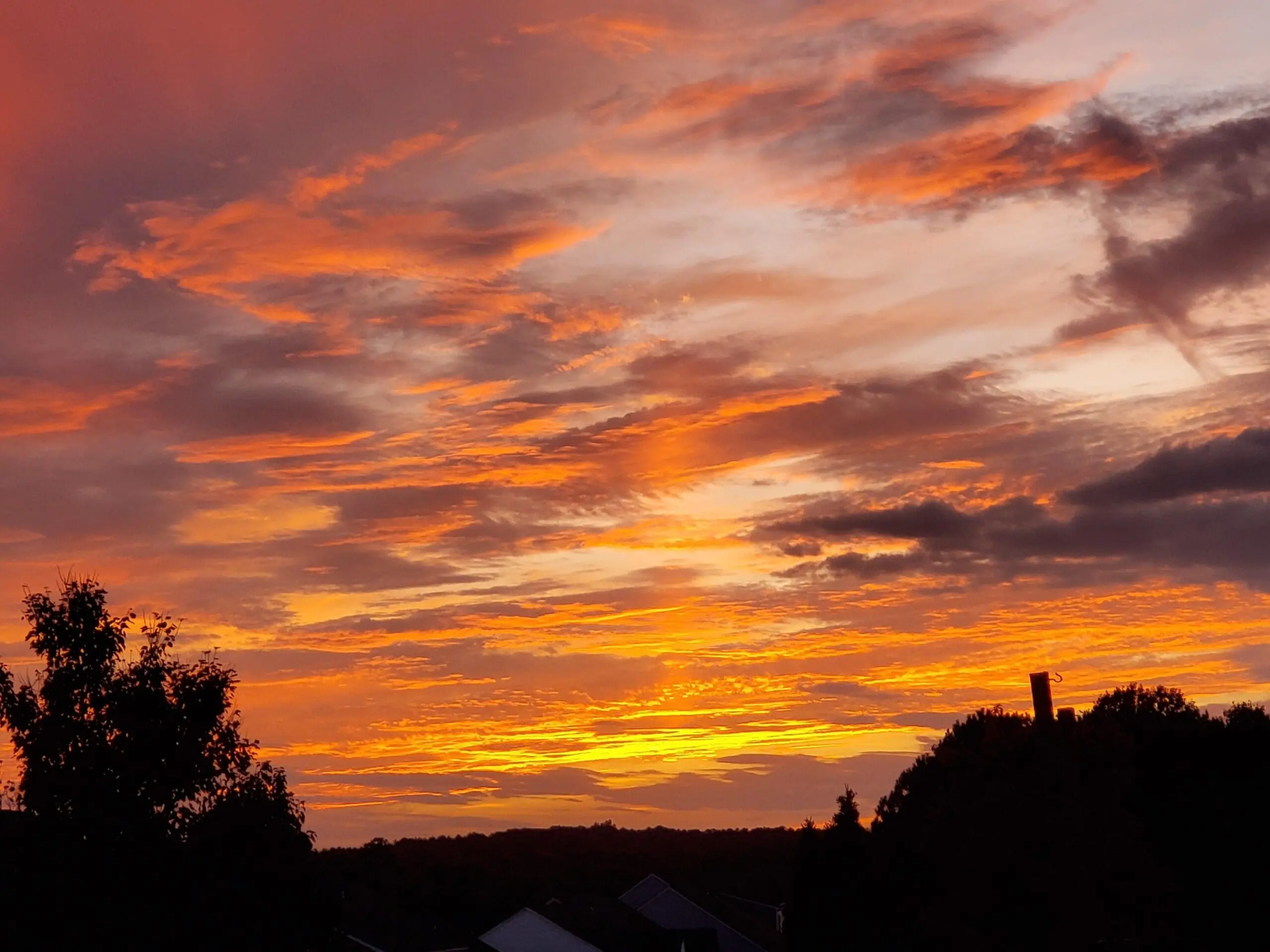 Support after an Alzheimer’s diagnosis - The Good Care Group